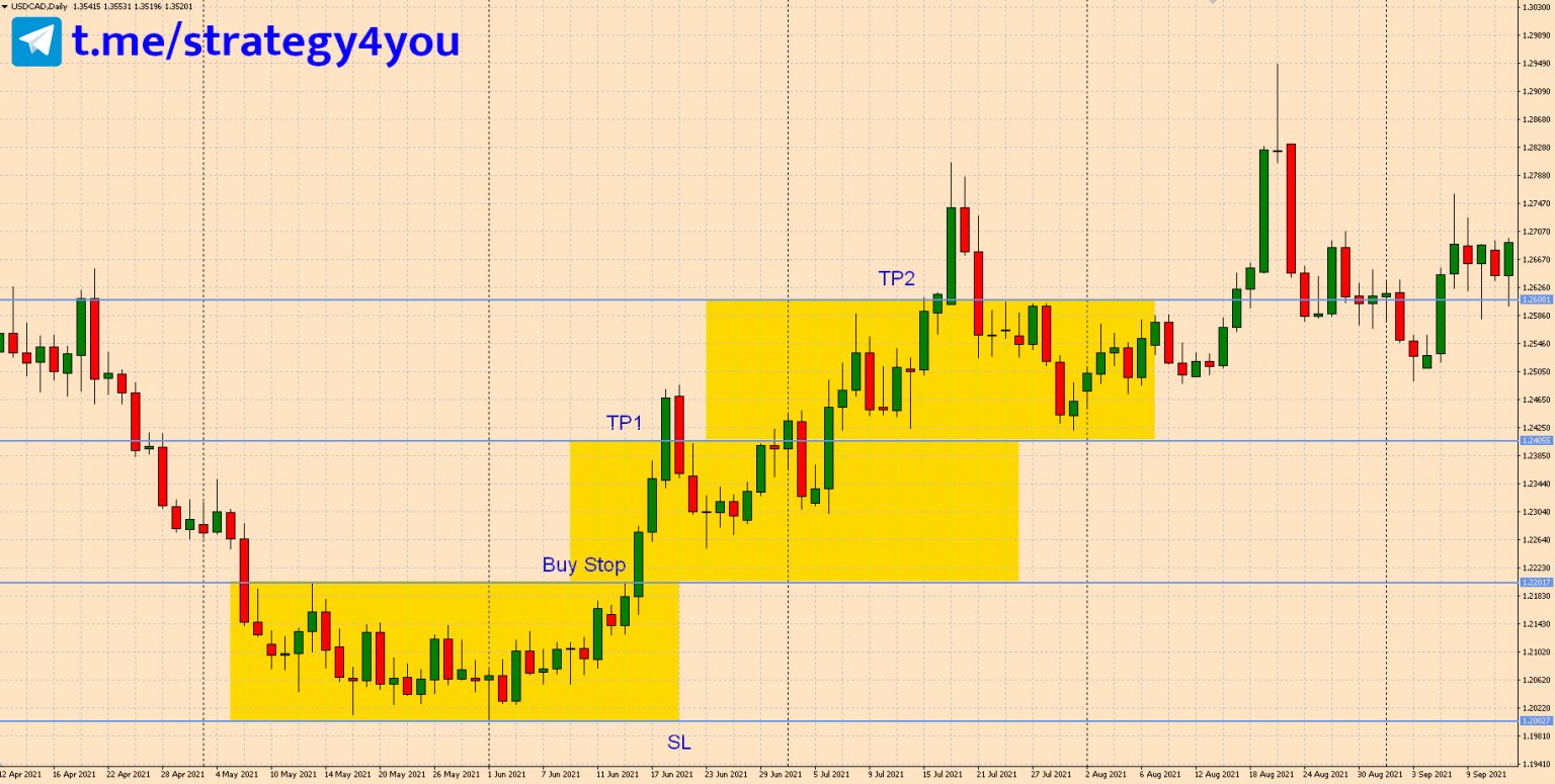Patterns: Saucer, Umbrella / Inverted Saucer, Round Bottom / Top
